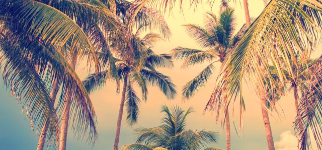 Our Team | Lawless, Edwards & Warren