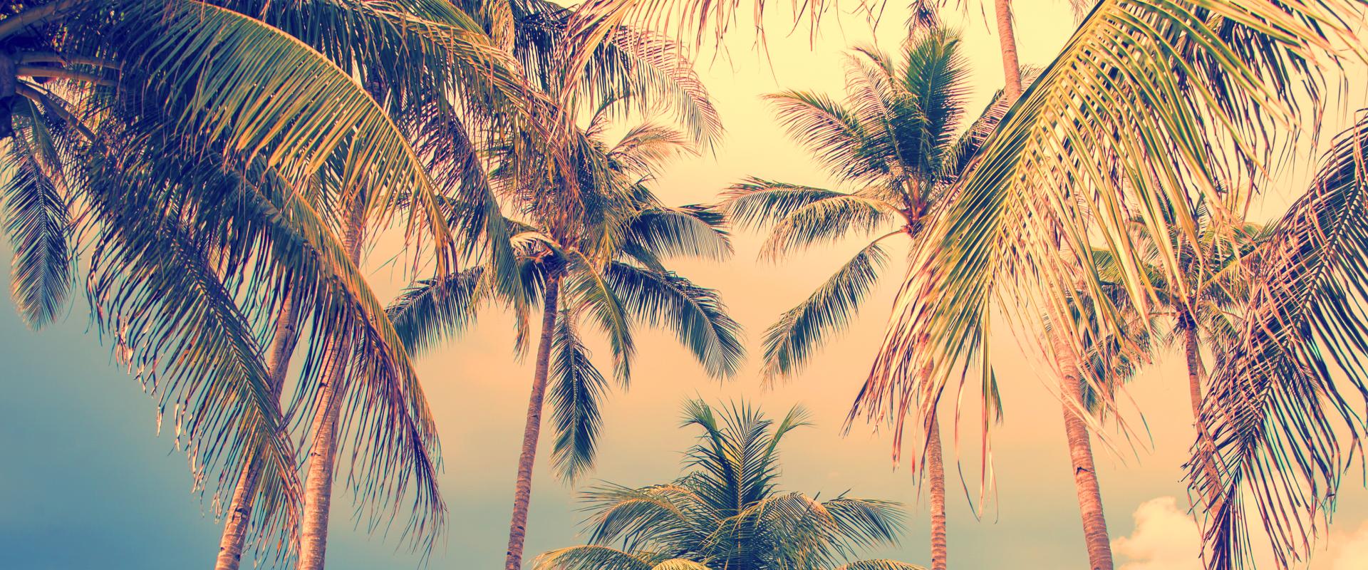 Christopher B. Warren | Lawless, Edwards & Warren